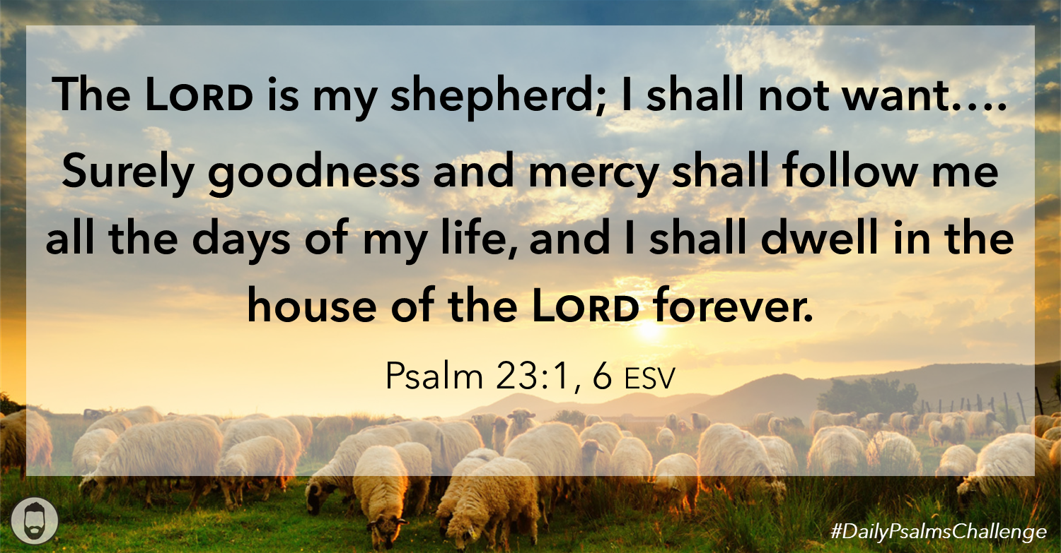 “Trusting the Good Shepherd in Green Pastures and Dark Valleys” from ...
