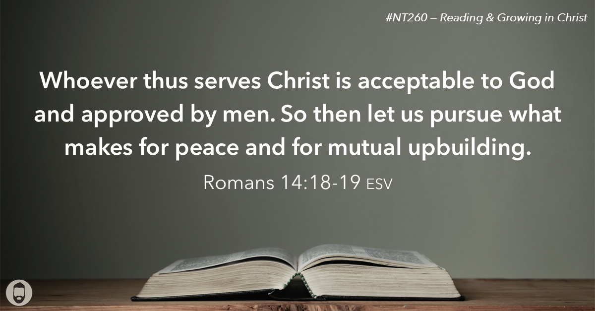Romans 14 on 1/2 | NT260 — Reading & Growing in Christ – Just Keith Harris